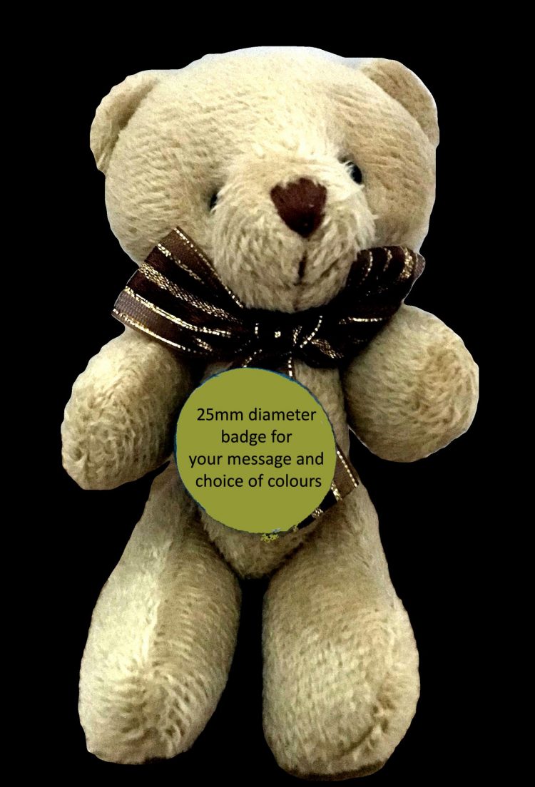Teddy Bear Badge - Custom Party Wear